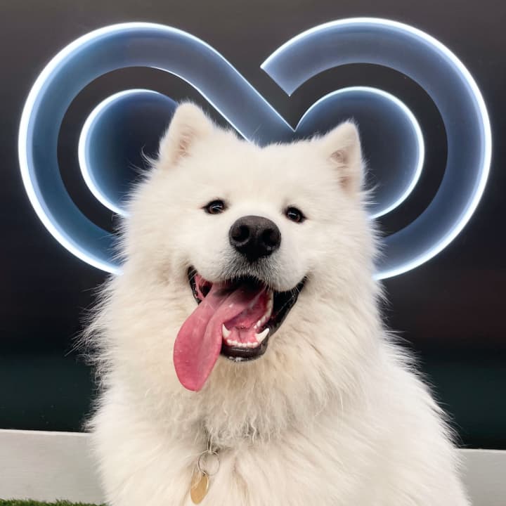 Bending Spoons | Careers